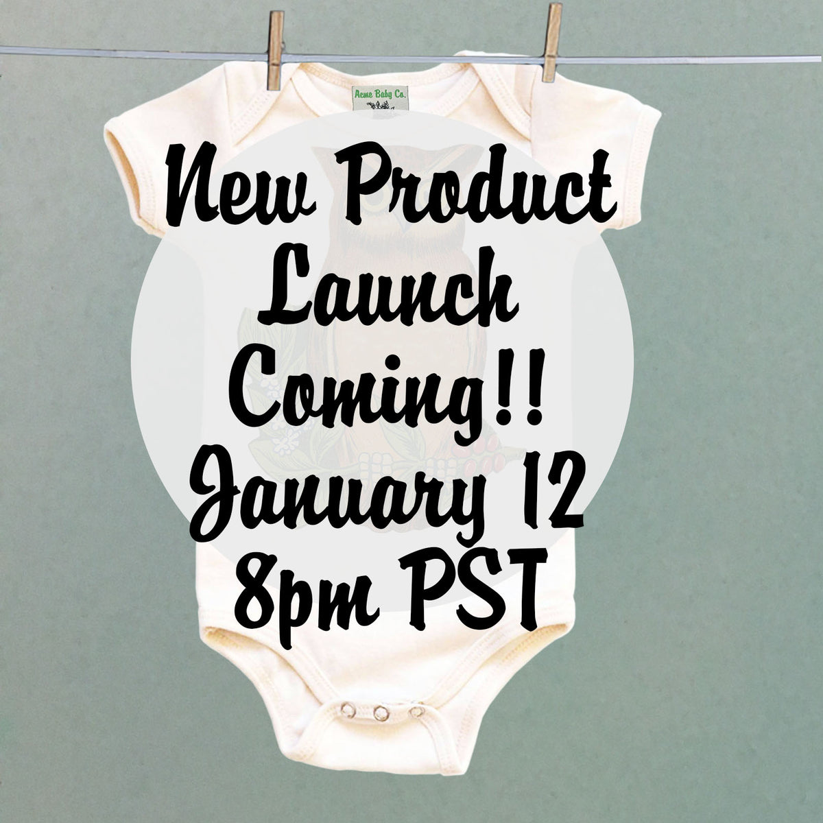 New Product Launch Coming! – Acme Baby Co. LLC